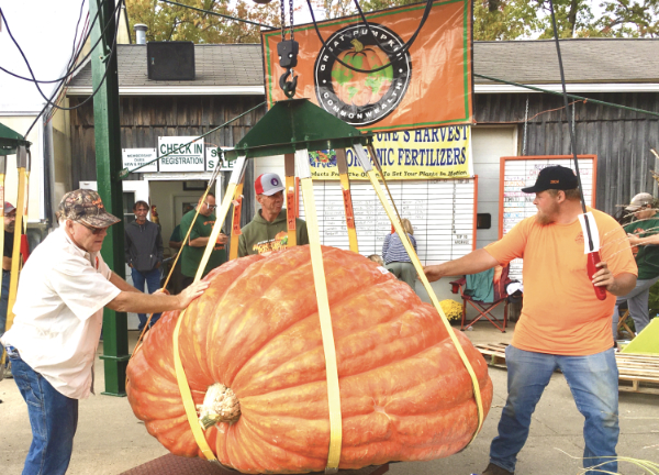 Oh my gourd! | News, Sports, Jobs - The Vindicator